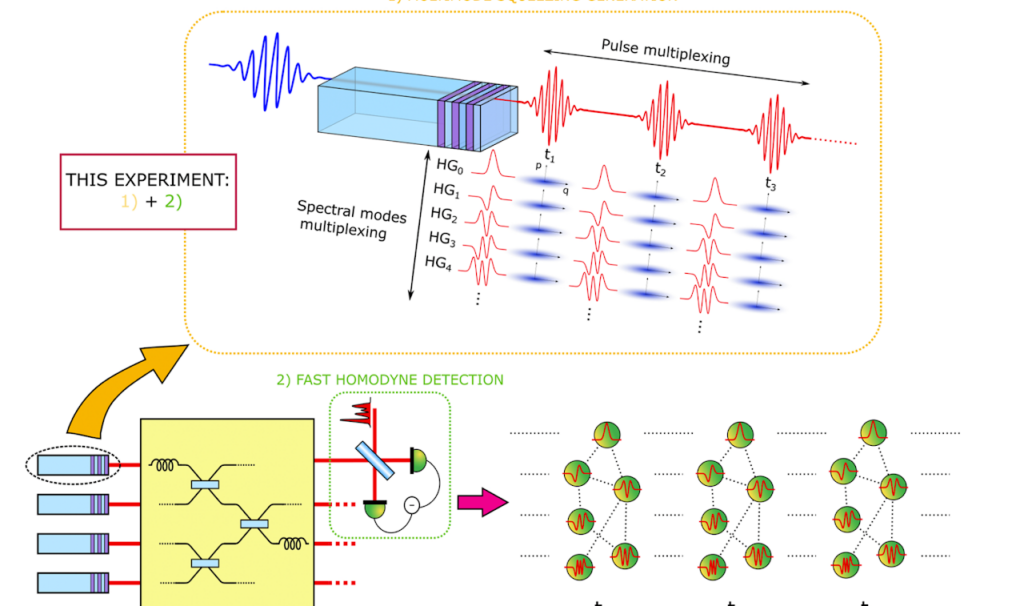 Continuous Variables Quantum Complex Networks - Multimode Quantum Optics