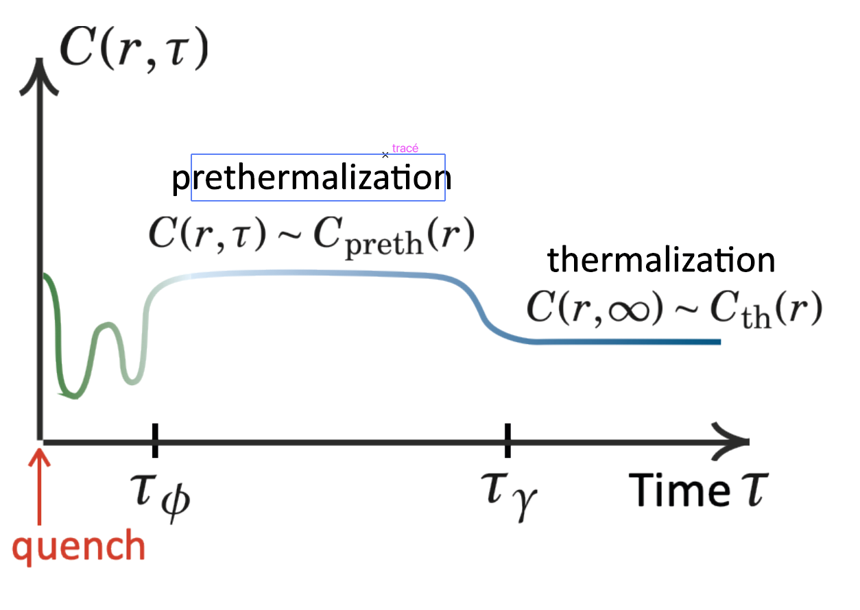 Out-of-equilibrium quantum gases - Quantum theory, atoms and fields